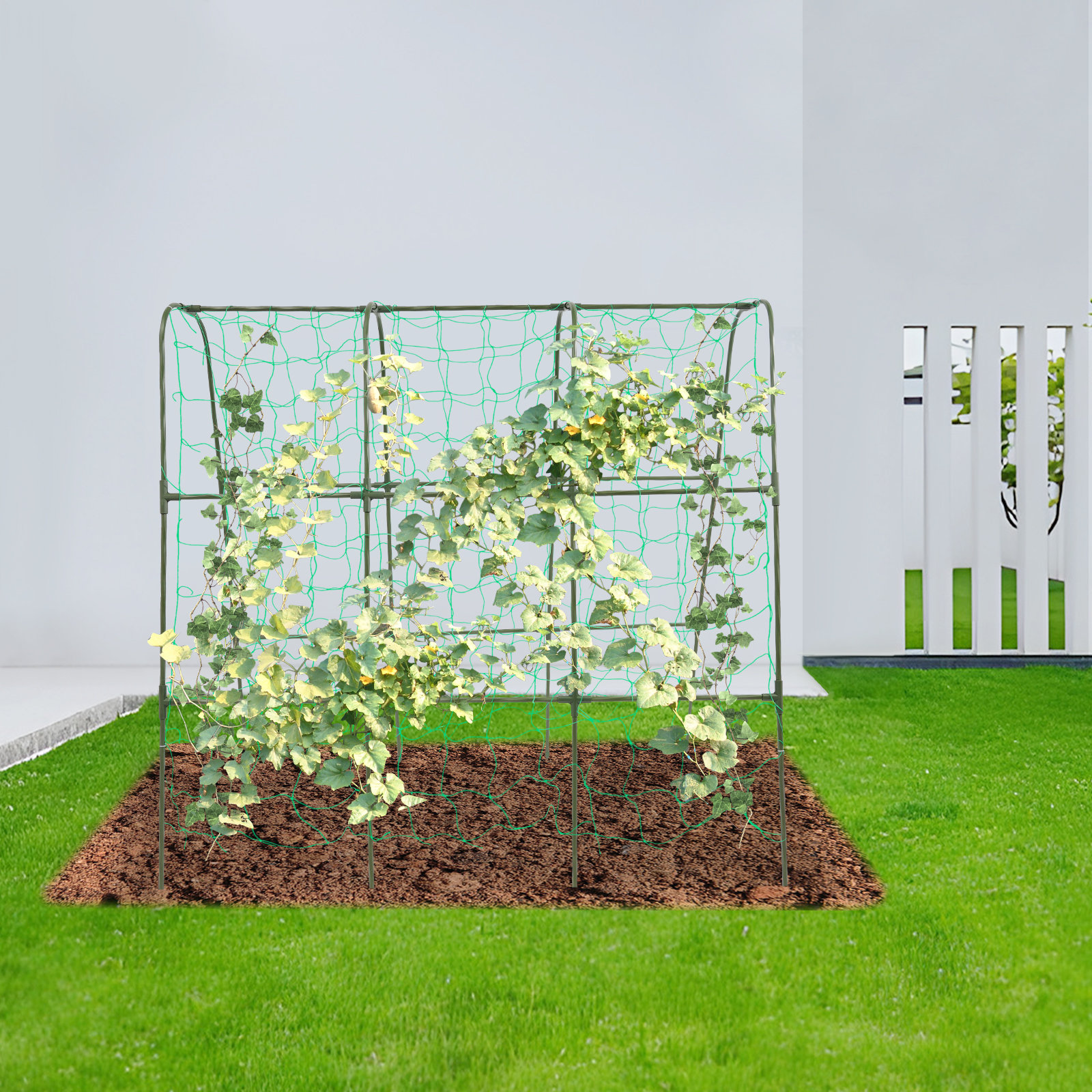 Arlmont & Co. Garden Arch Tunnel Trellis For Climbing Plants Outdoor ...