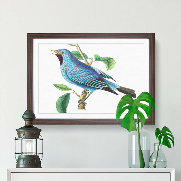 East Urban Home Blue Chatterer Bird by George Shaw - Picture Frame ...