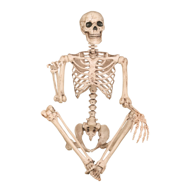 The Holiday Aisle® Pose-N-Stay Skeleton & Reviews | Wayfair