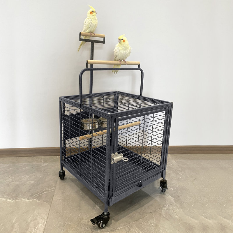Tucker Murphy Pet™ Dyles 31'' Steel Flat Top Travel Bird Cage with ...