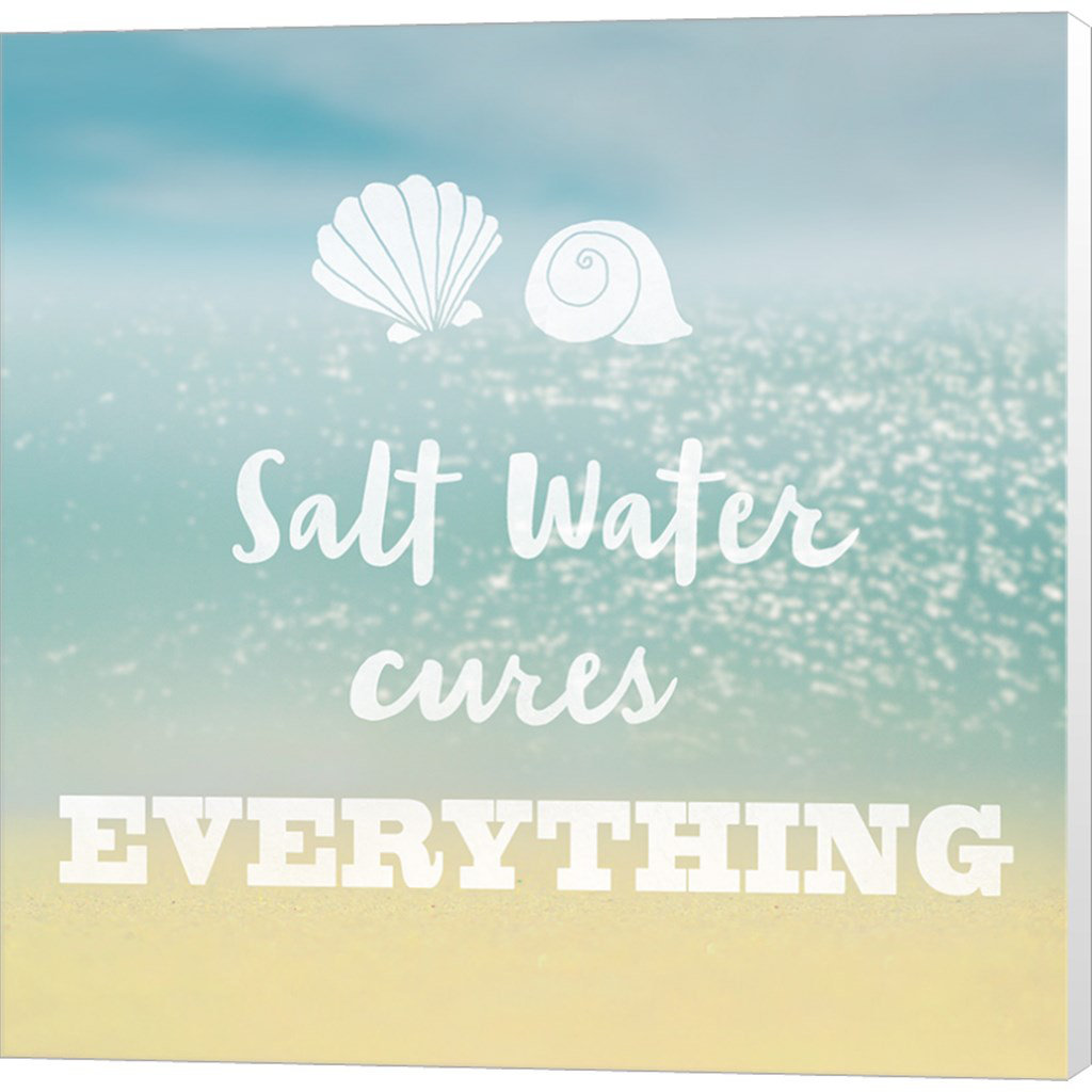 Trinx Salt Water Cure By Sue Schlabach, Canvas Wall Art | Wayfair