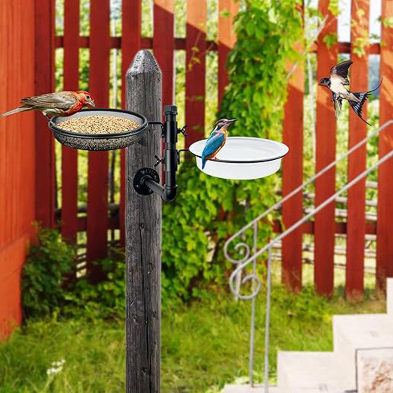 Arlmont & Co. Wall Mounted Bird Feeder with 2 Bird Bath Bowls, Heavy ...