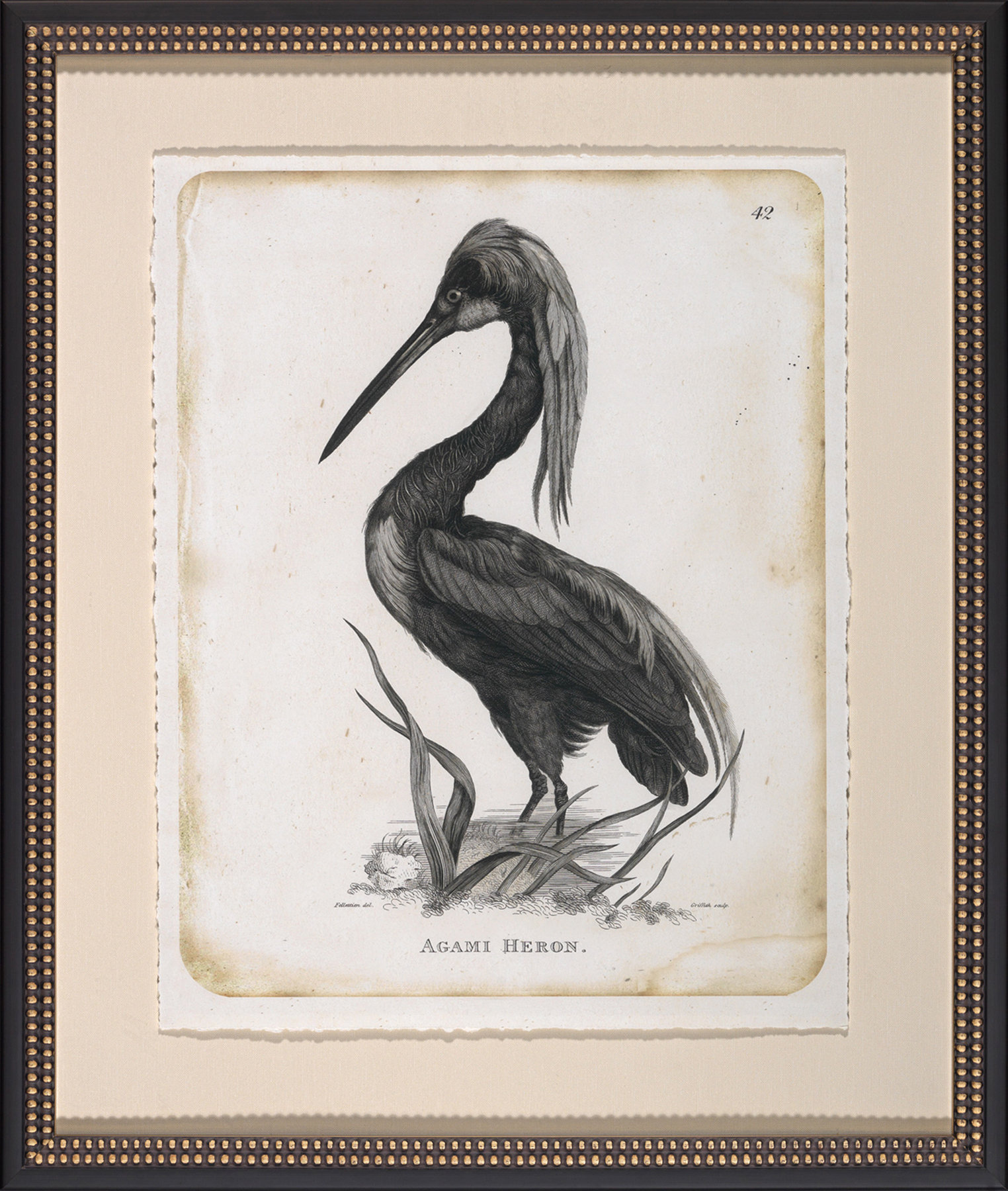 Wendover Art Group Agami Heron - Picture Frame Painting on Paper | Wayfair