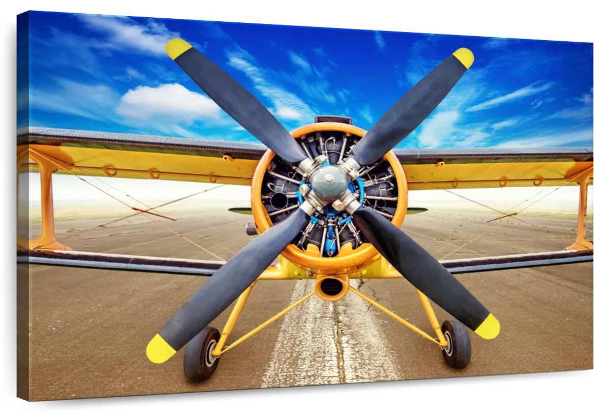 Ebern Designs Mehar Runway Biplane | Wayfair