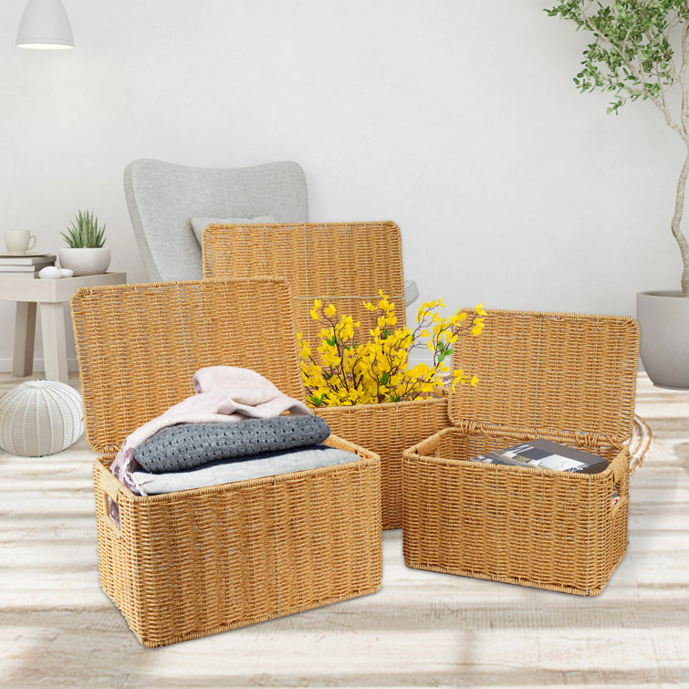 Bayou Breeze PP Rattan Storage Bin & Reviews | Wayfair
