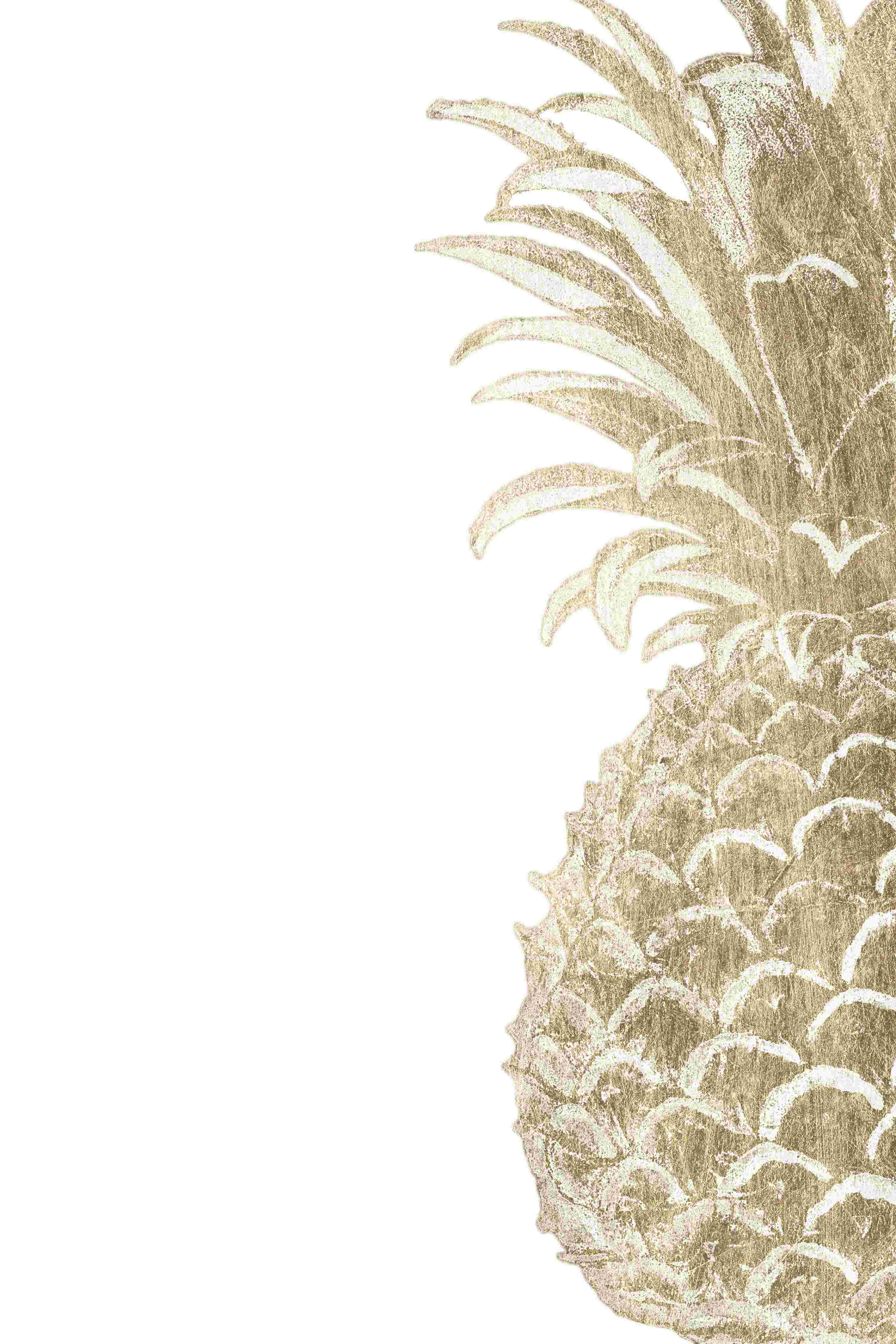 Bayou Breeze Pineapple Life IV | Wayfair
