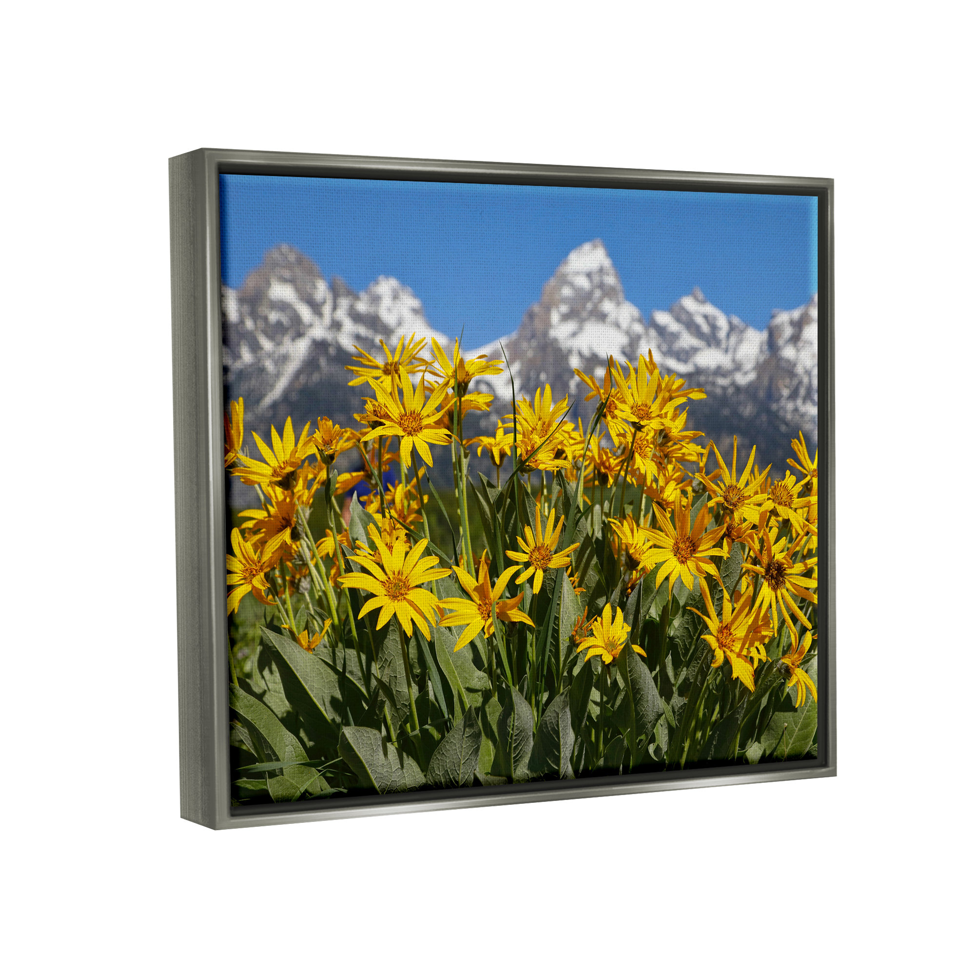 Millwood Pines Daisy Meadow & Mountains Framed On Canvas by Daniel ...