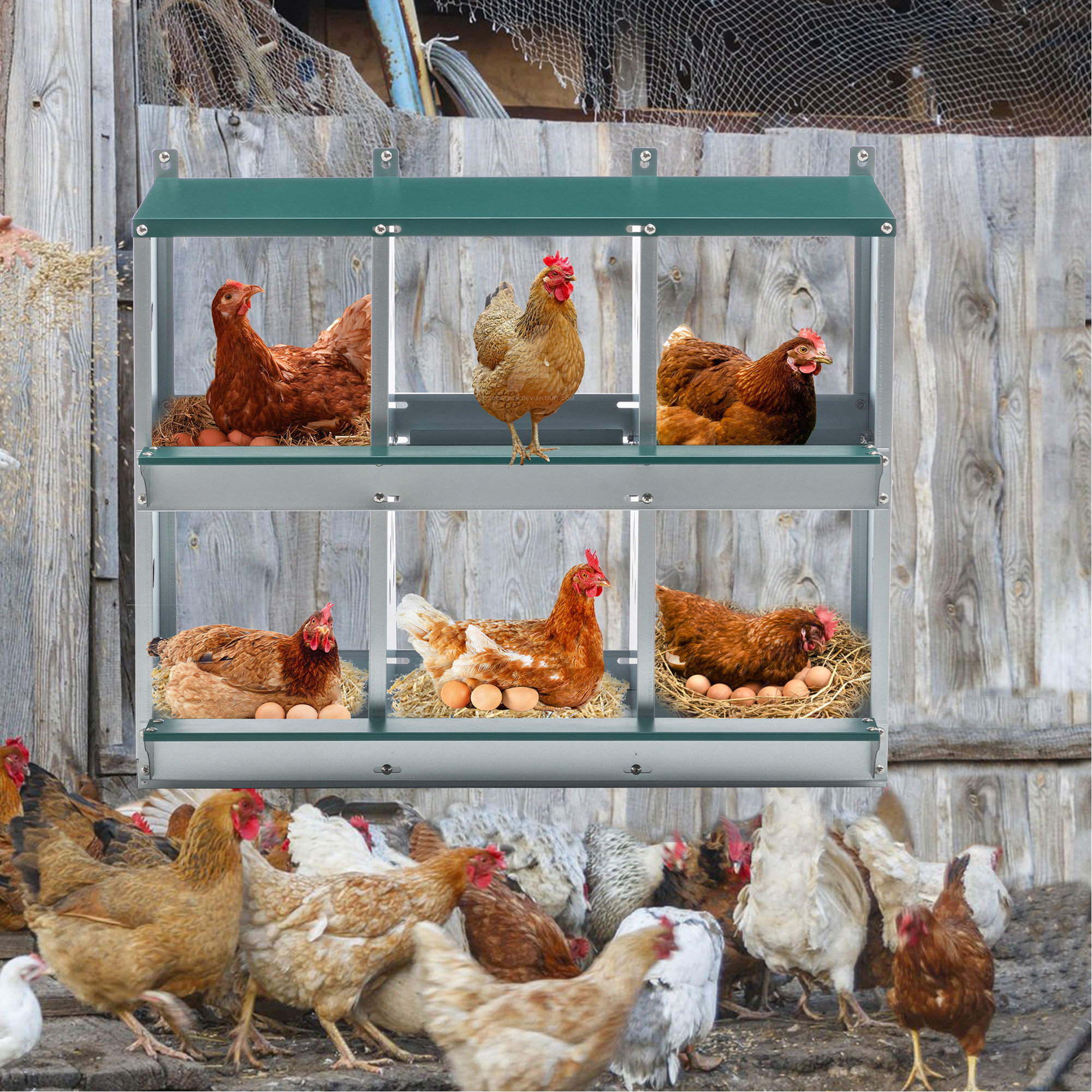 TYUNABRN Chicken Nesting Box, 6 Room Metal Nesting Boxes For Chicken,Galvanized Steel Nesting ...