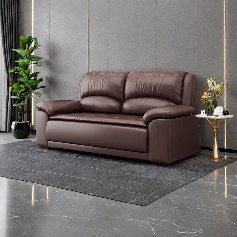 Hokku Designs Modern simple Italian business sofa - Wayfair Canada
