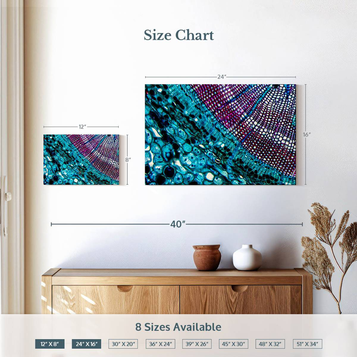 Elephant Stock Pine Stem Under Microscope | Wayfair