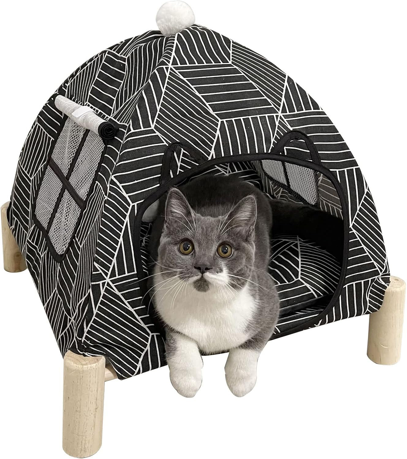 Tucker Murphy Pet™ 2-In-1 Elevated Cat Tent Cat House, Quick Assembly ...