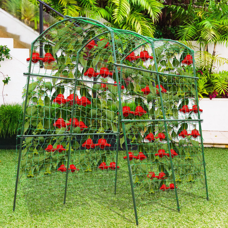 Arlmont & Co. Sturdy Plant Support Archway For Climbing Vines Squash ...
