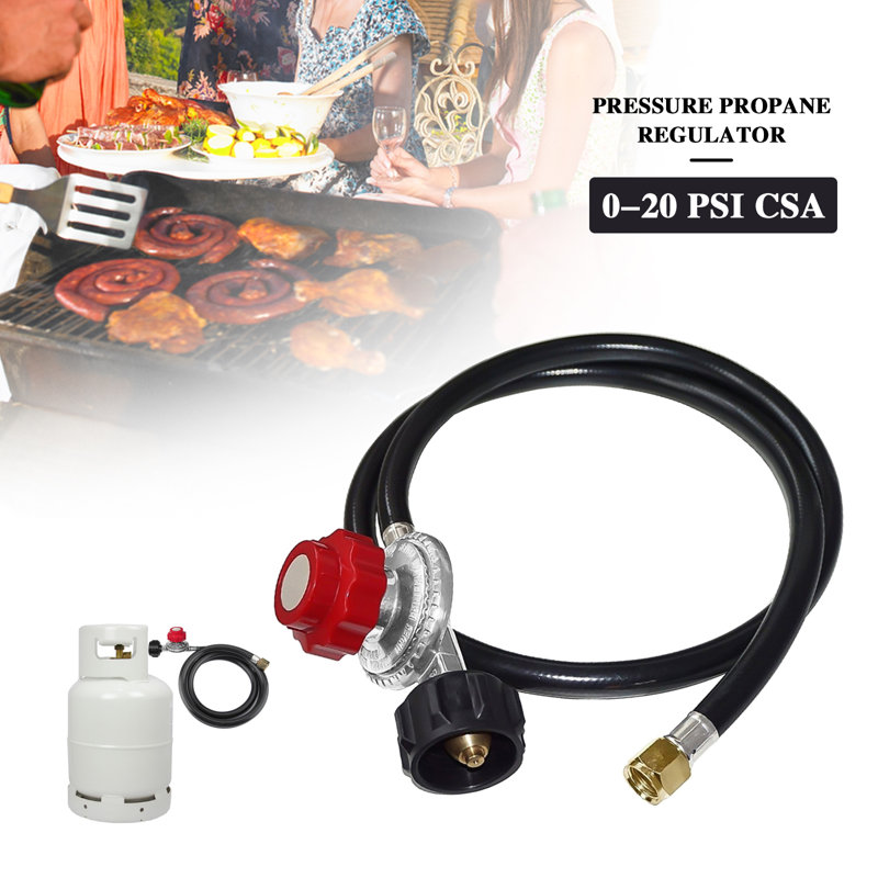 ANMINY Single Burner Propane Cooking Kit | Wayfair