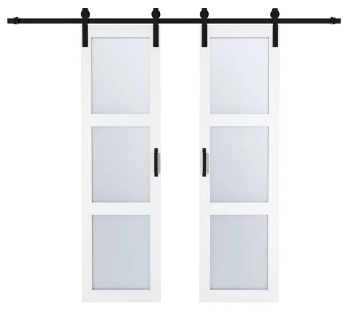OHTOMO By-Pass 3-Lite Glass Door - Wayfair Canada