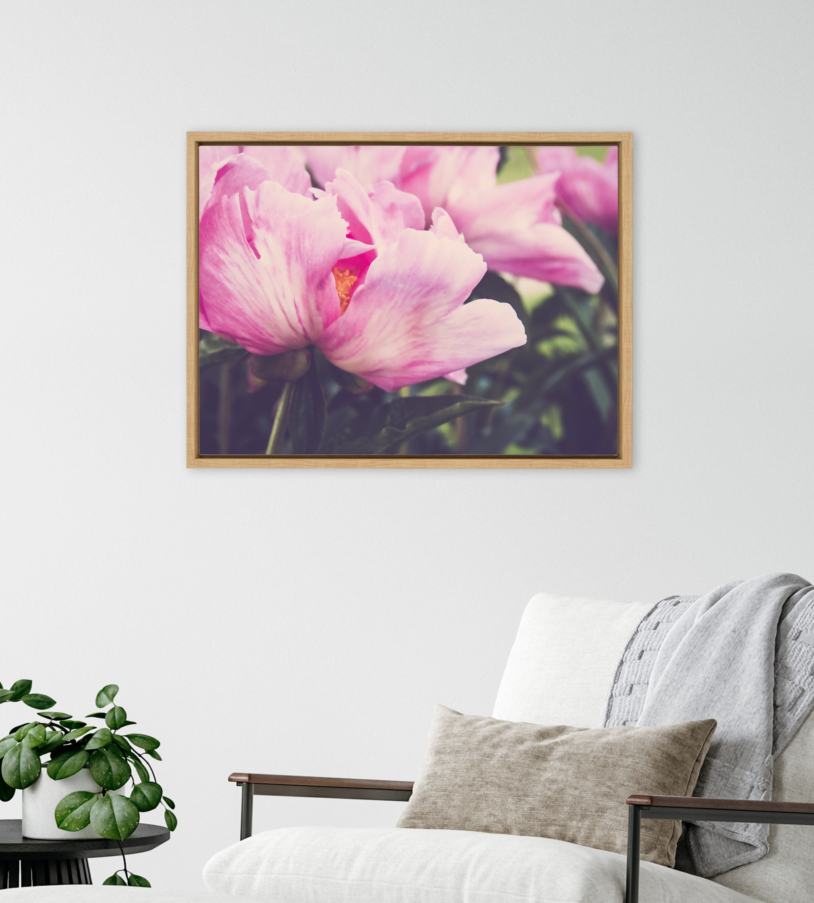 Beachcrest Home Shalyce Soft Peony Flower Photography by Stephanie ...