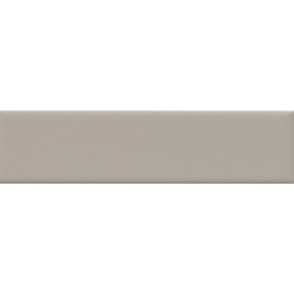 Emser Tile Catch™ 2" x 8" Glossy Ceramic Subway Tile | Wayfair