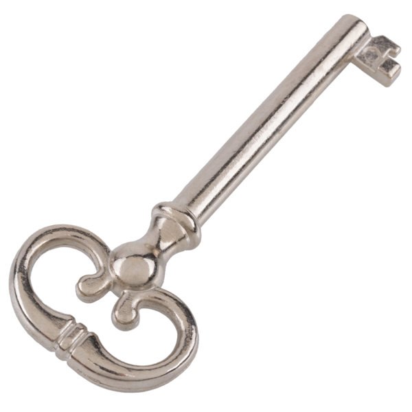 UNIQANTIQ HARDWARE SUPPLY Hollow Barrel Skeleton Key | Wayfair