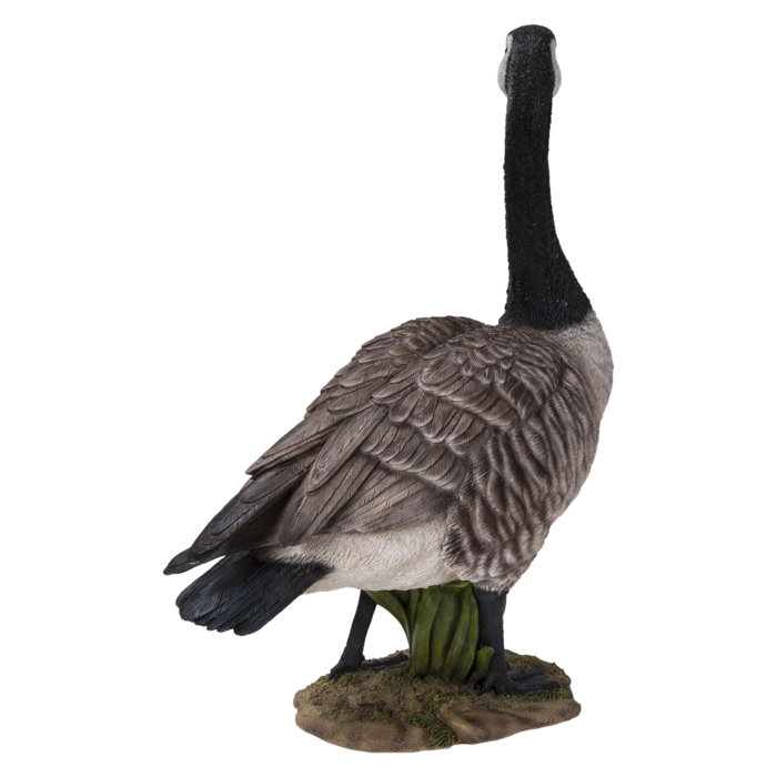 Hi-Line Gift Ltd. Standing Canada Goose Statue & Reviews | Wayfair