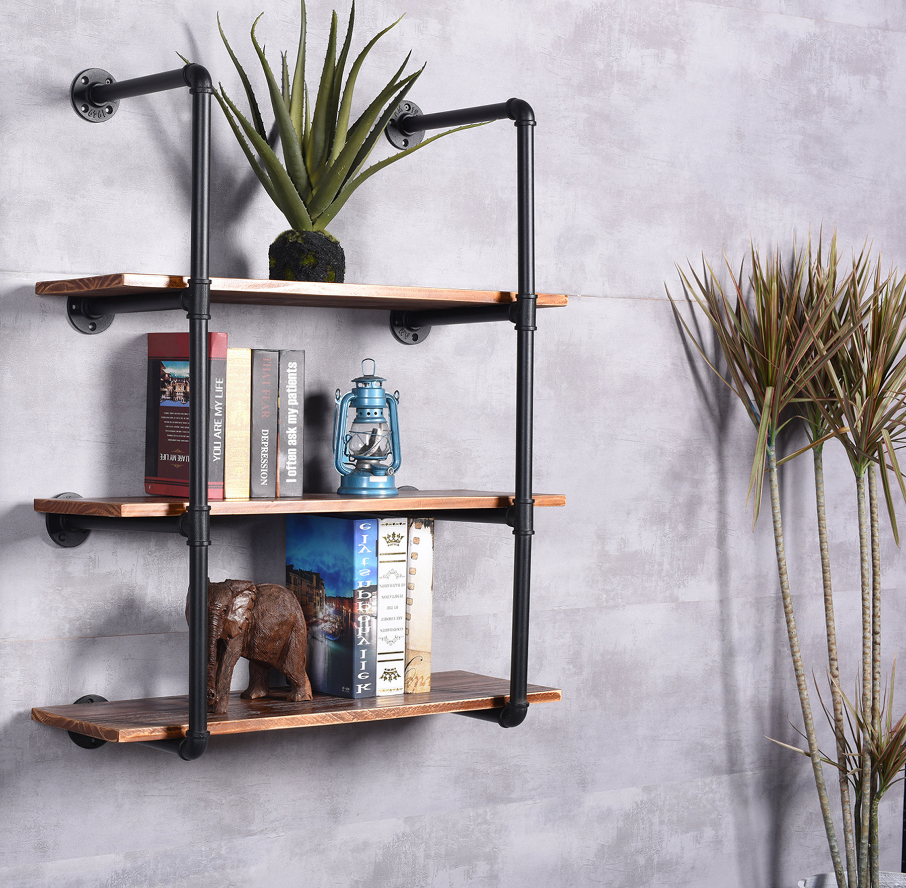 Williston Forge Industrial Black Pipe Bookshelf Wall Ceiling Mounted ...