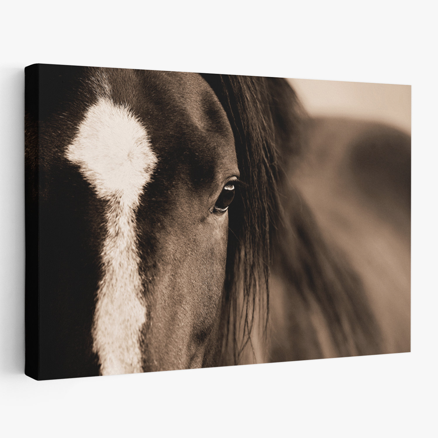 Alcott Hill® Dark Eyes - Photography Animals Horses Nature, Wildlife ...