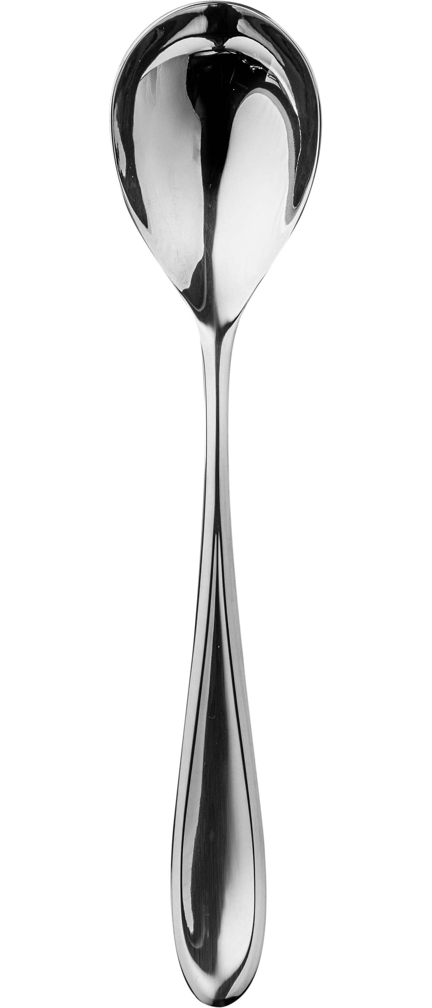 MEPRA Forma Serving Spoon - 24 Pieces - Stainless Steel | Perigold