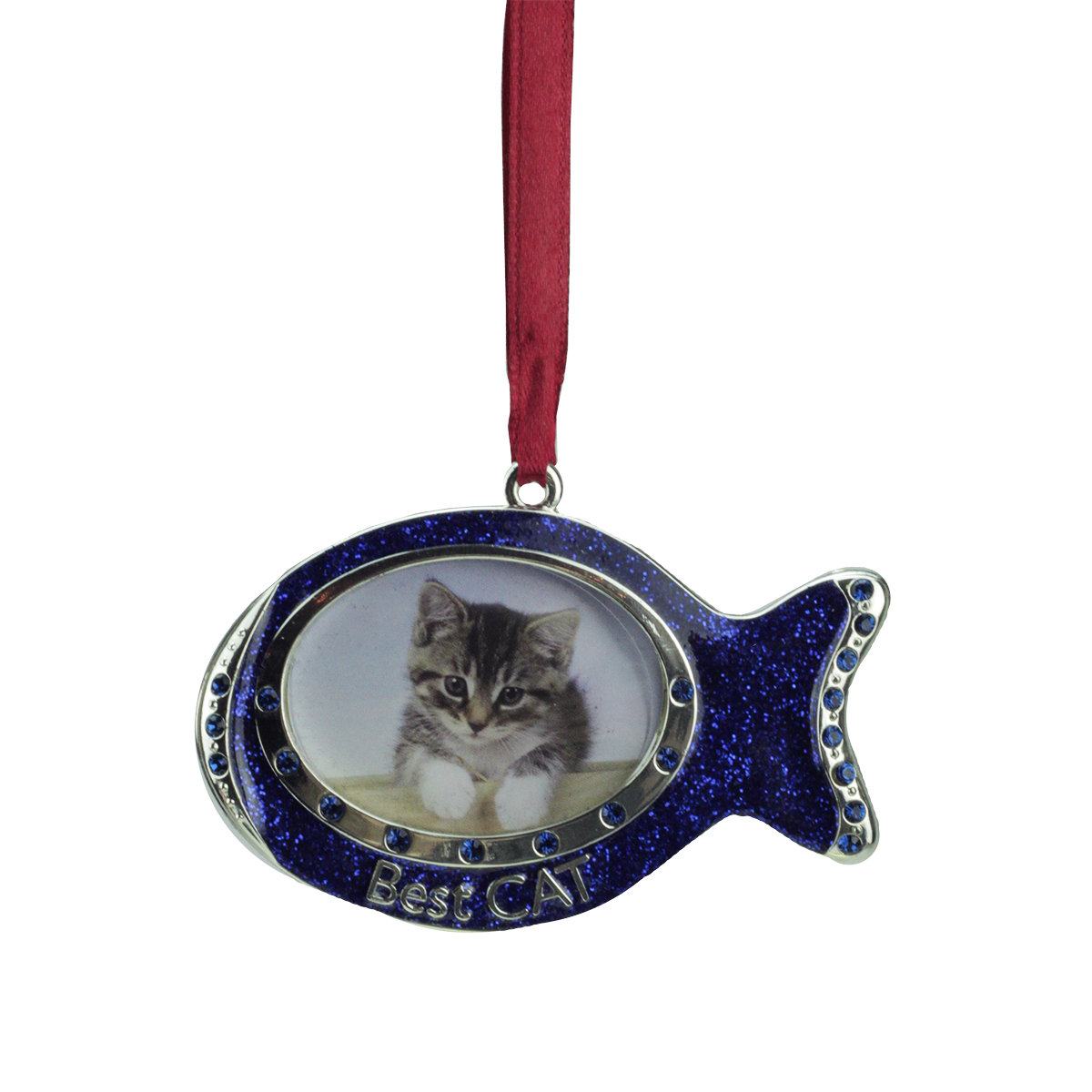 Northlight Seasonal 3" Silver and Blue Plated Best Cat Fish Picture ...
