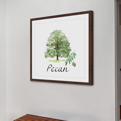 Red Barrel Studio® Pecan Tree Framed On Paper Print | Wayfair