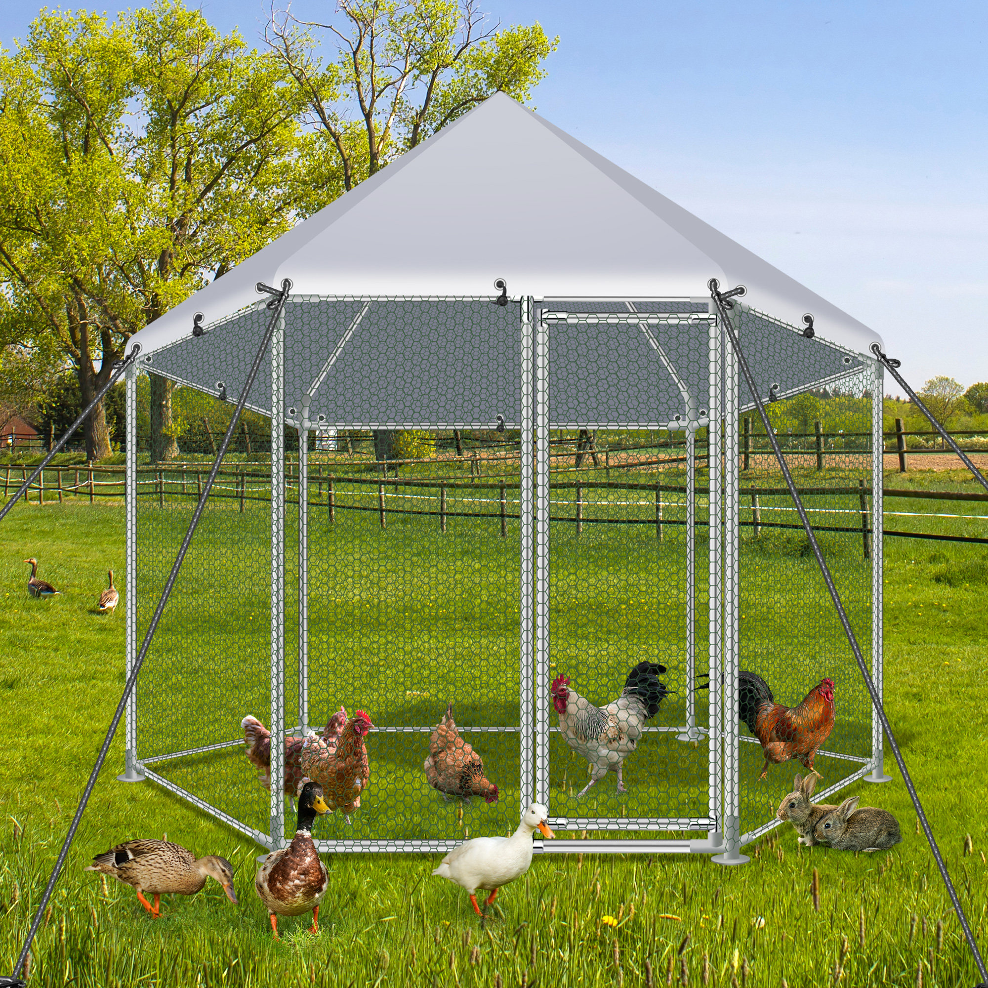 Tucker Murphy Pet™ Chicken Coop Walk-in Chicken Run Coop with ...