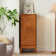 Winston Porter Karmisha Dresser & Reviews | Wayfair