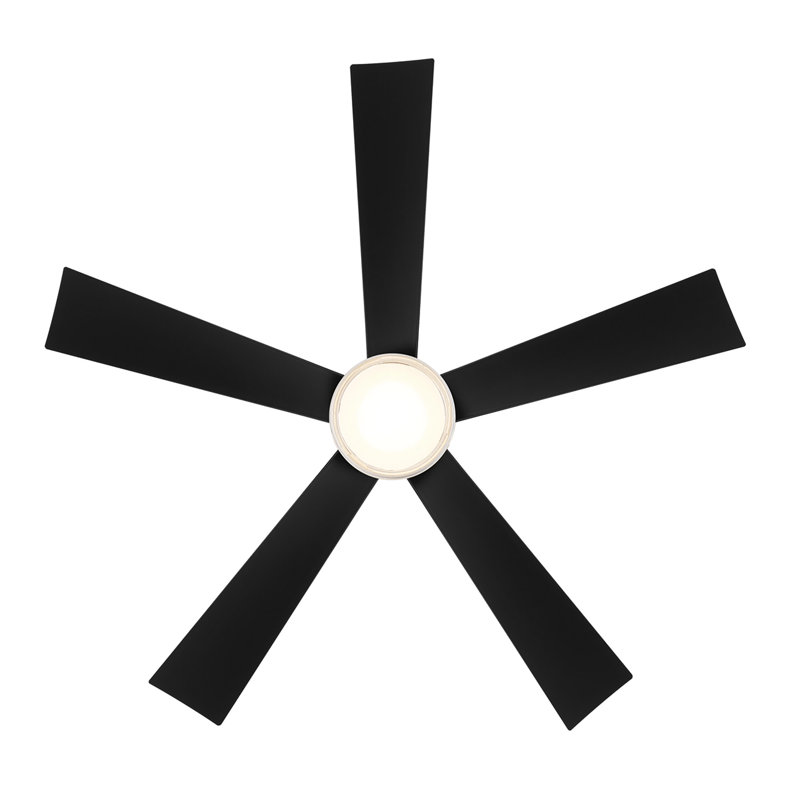 Modern Forms Wynd 5 - Blade Outdoor /Indoor Smart Ceiling Fan with ...