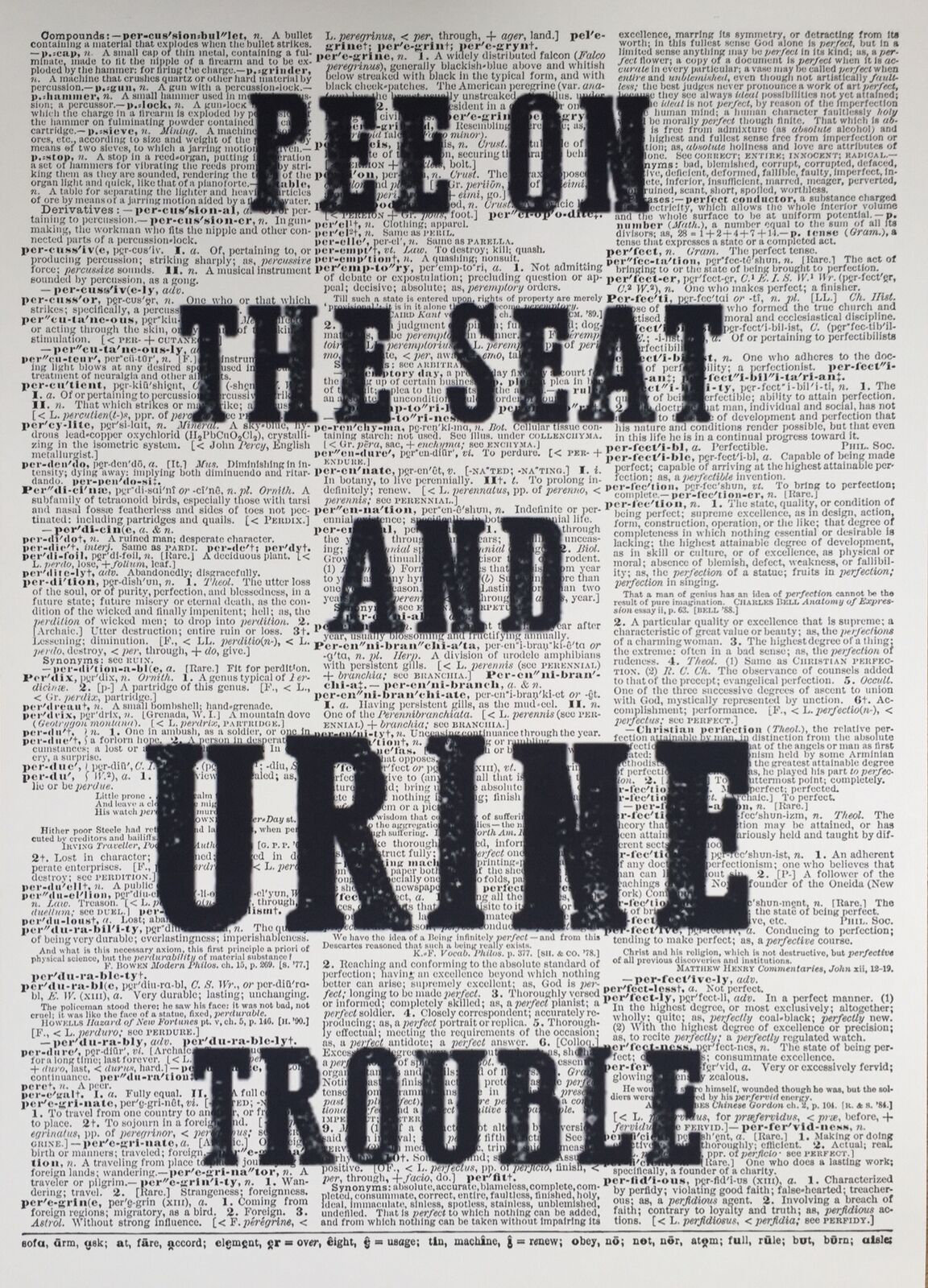 Happy Larry A3 Pee On The Seat Dictionary Print - Funny Toilet Humour ...