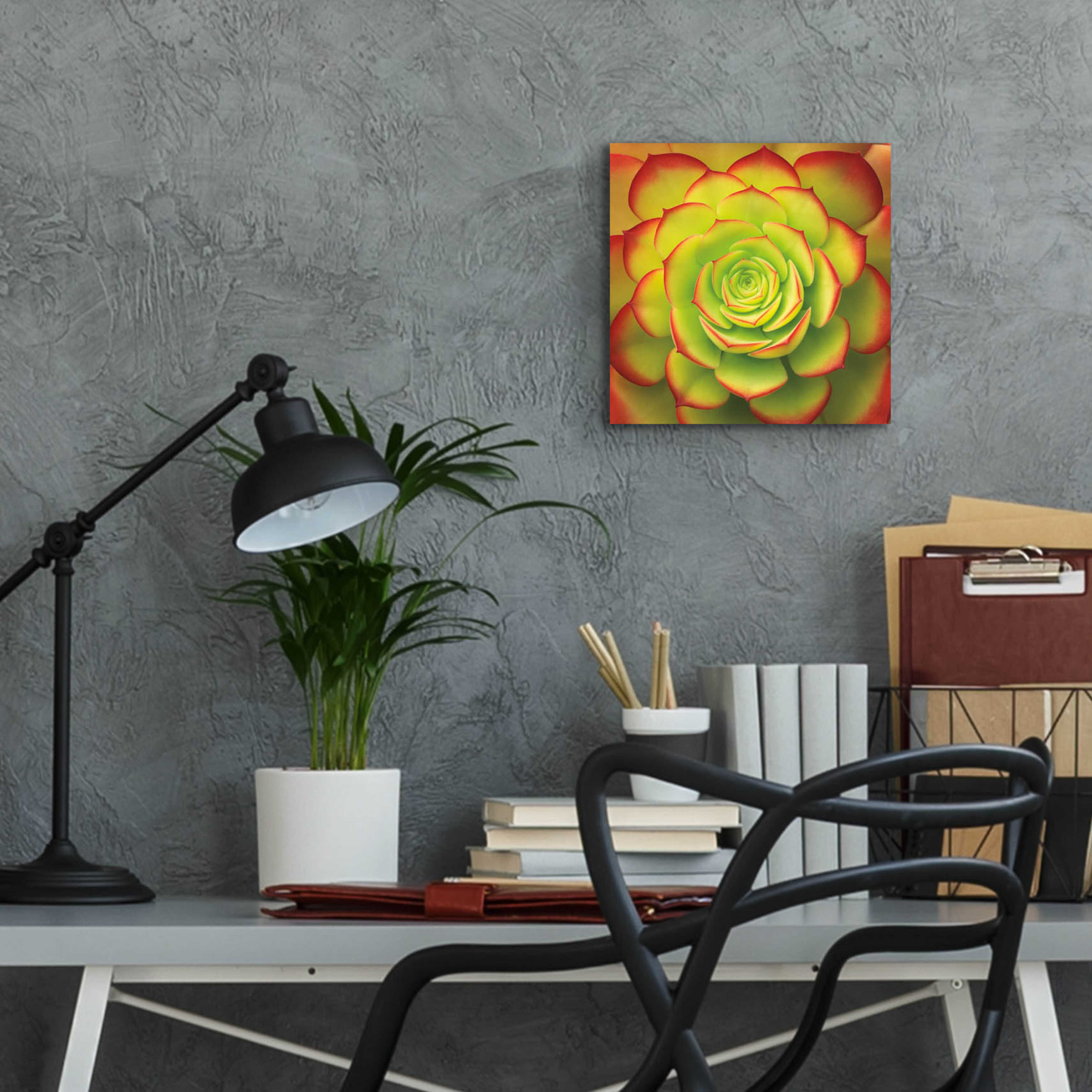 Bungalow Rose Epic Art 'Fiery Succulent' By Jan Bell Acrylic Gla Fiery ...