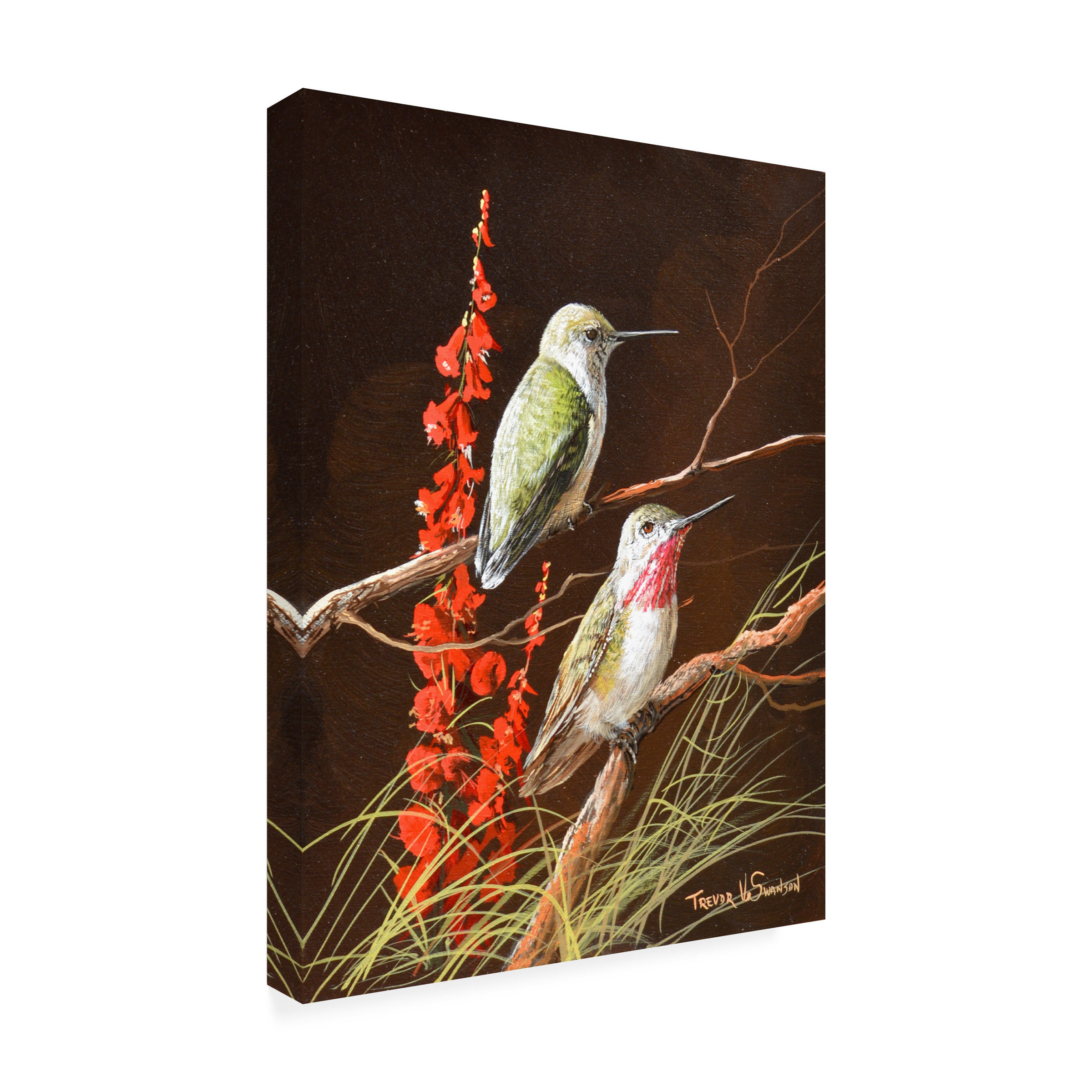 Winston Porter Birds III by Trevor V. Swanson Canvas Art | Wayfair