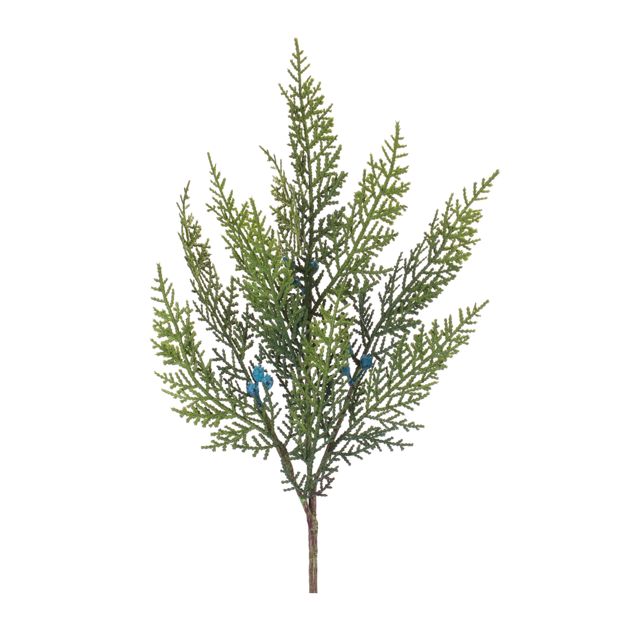 Melrose International Variegated Juniper Stems | Wayfair