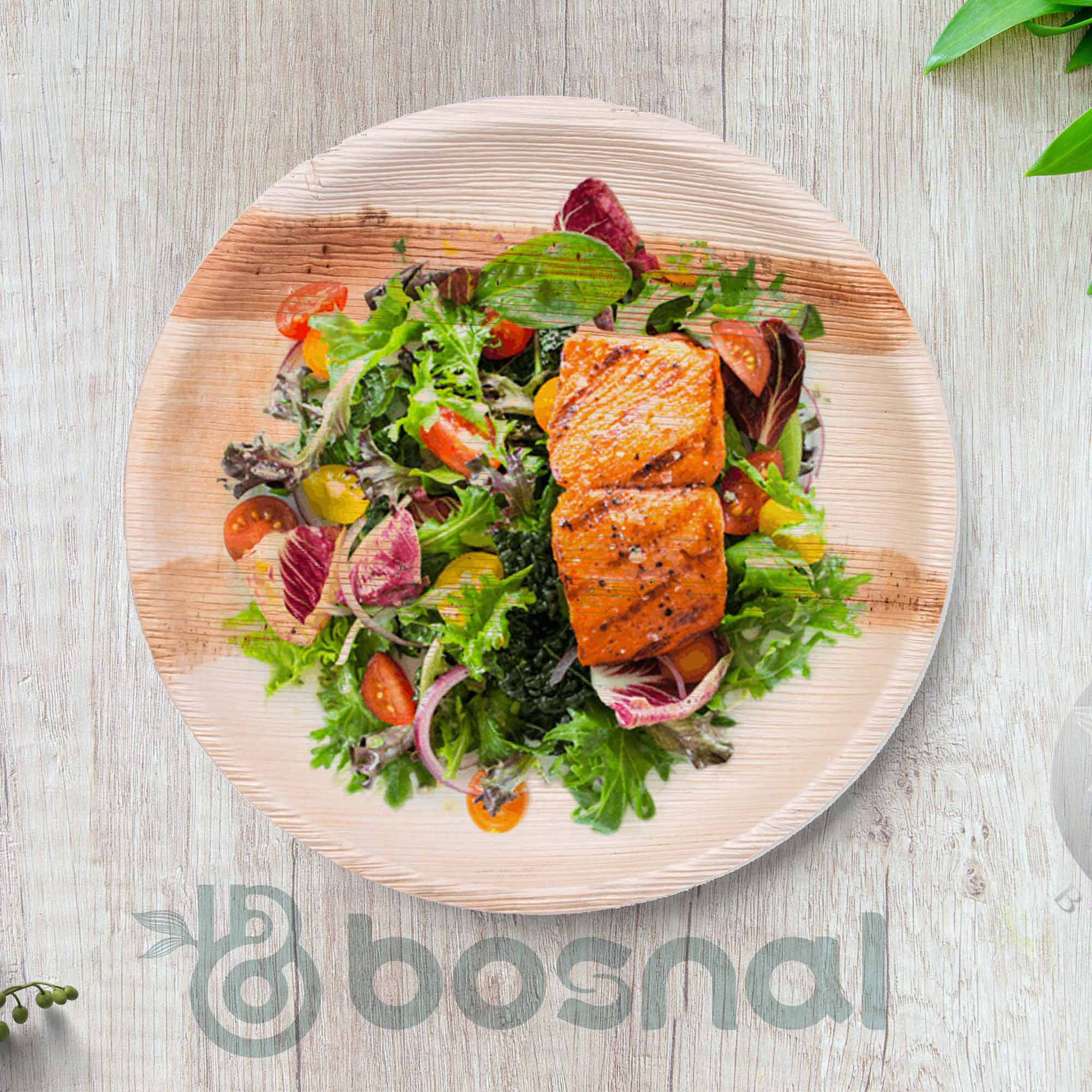 Bosnal 10 Inch Palm Leaf Dinner Plates - Wayfair Canada