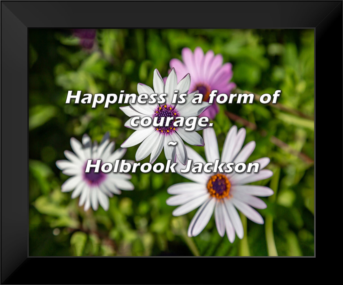 Trinx Holbrook Jackson Quote: Happiness is a form of courage. | Wayfair