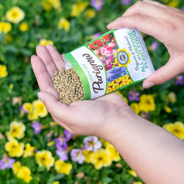 Touch Of ECO Purigrow & Natural All Purpose Plant Food - 16 Individual ...