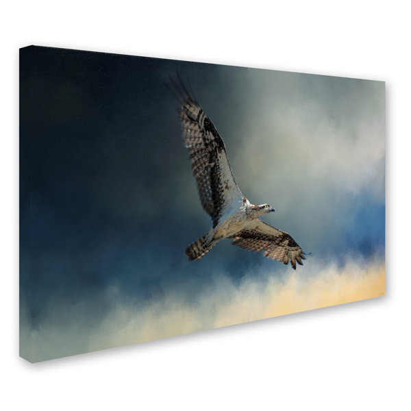 Trademark Art « winter osprey », reproduction d’impression sur toile ...
