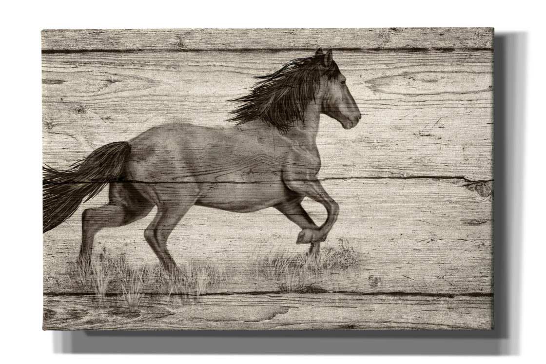 Union Rustic 'Woodgrain Antiques 01' by Gordon Semmens Canvas Wall Art ...