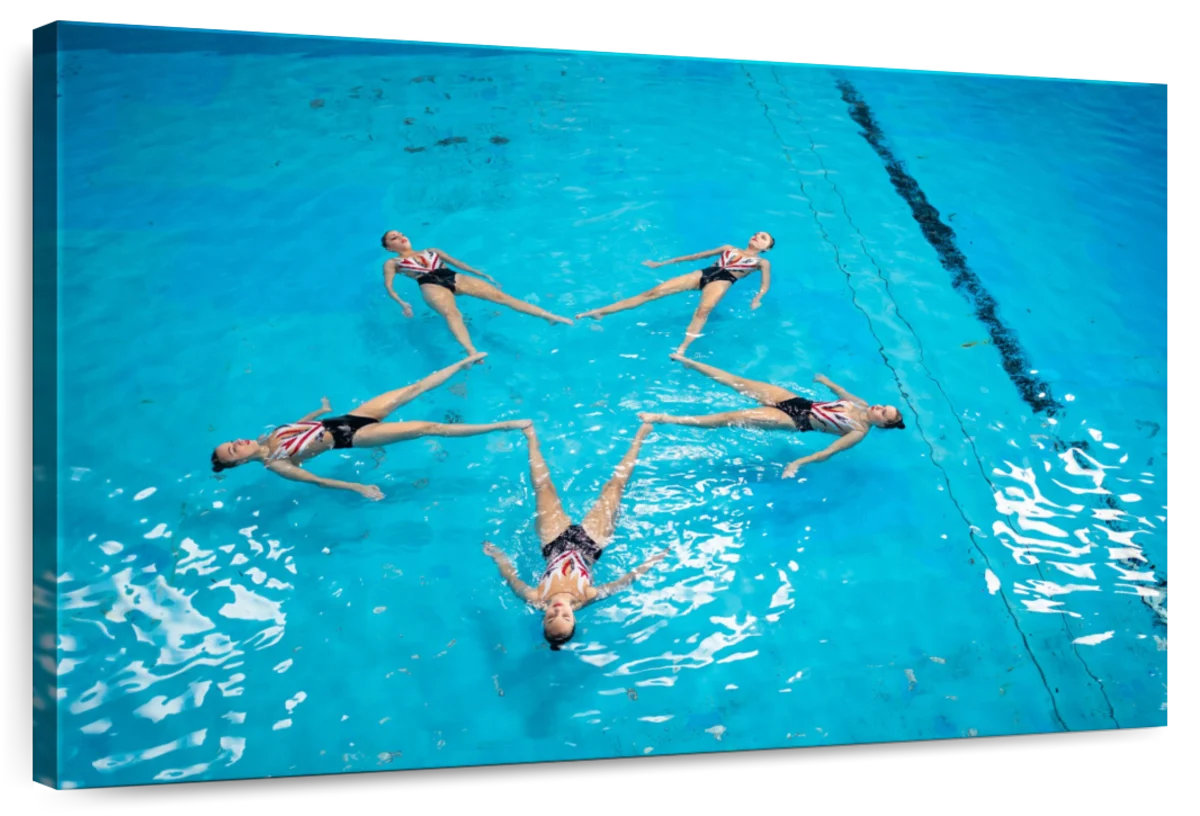 Ebern Designs Sireci Synchronized Swimming Star | Wayfair