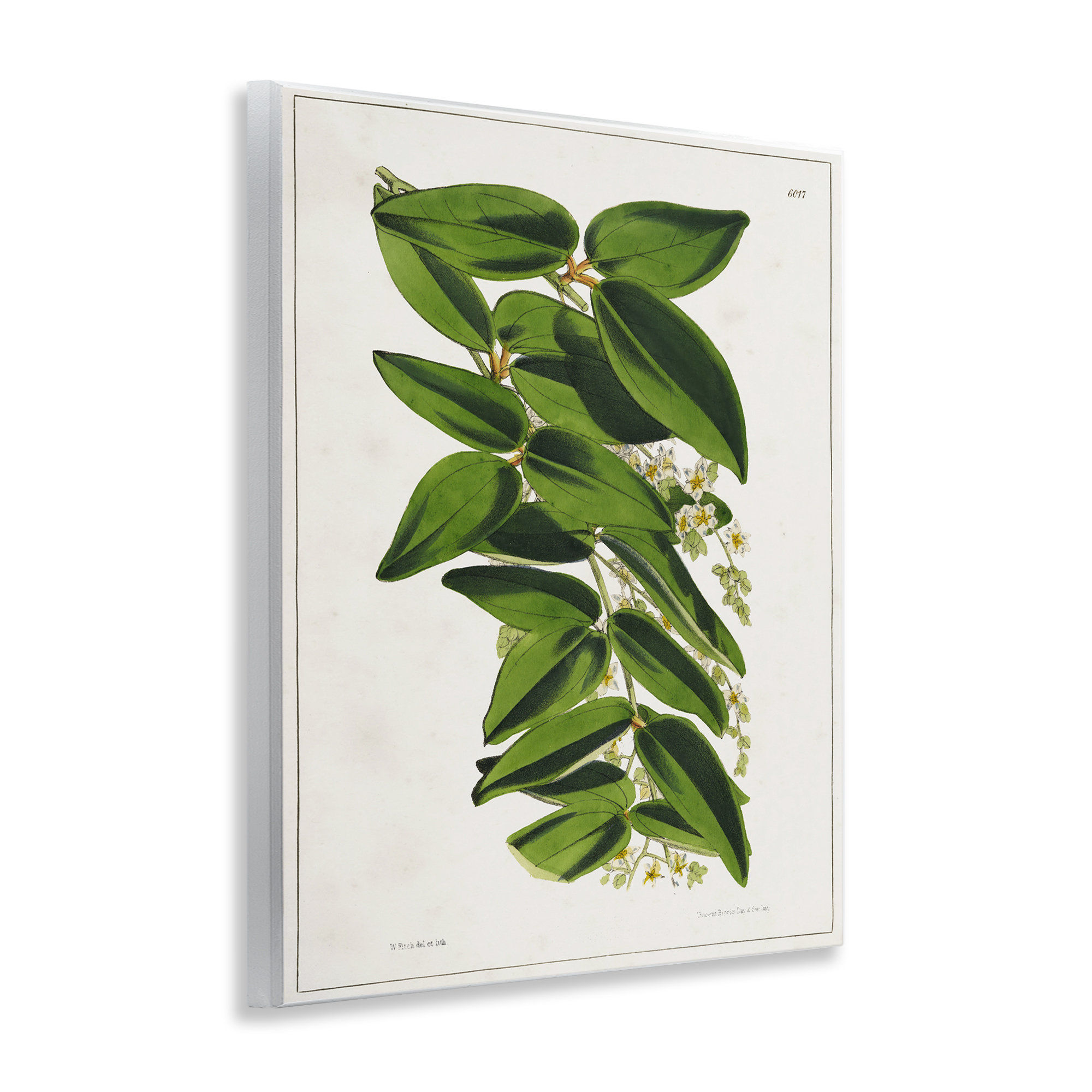 Ebern Designs Stacked Leaves Botanical Wall Plaque Art by Tina Higgins ...