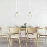 Breakwater Bay Modern Mini Pendant Light with Seedy Glass Shade ...