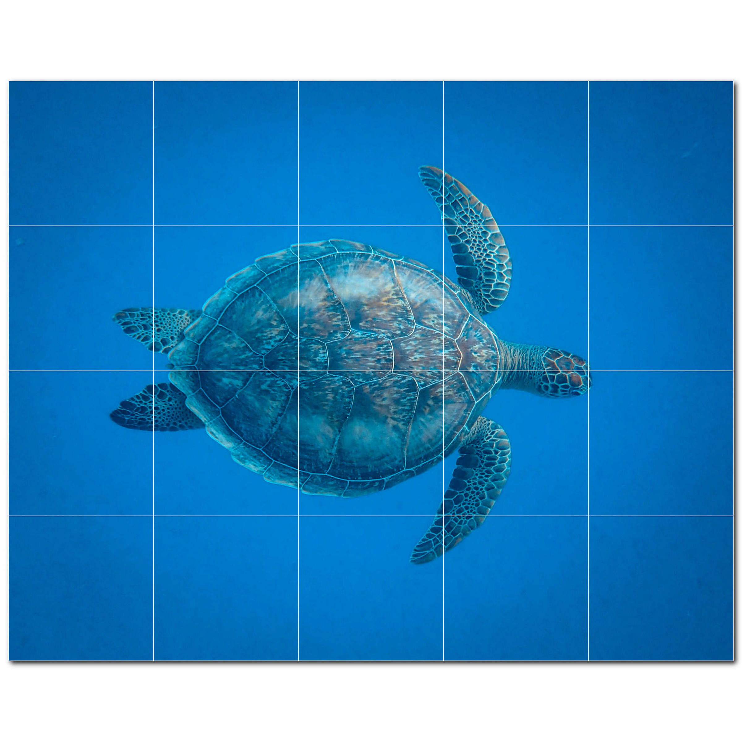Picture-Tiles.com 40" x 32" Ceramic Turtle Photo Decorative Mural Tile ...