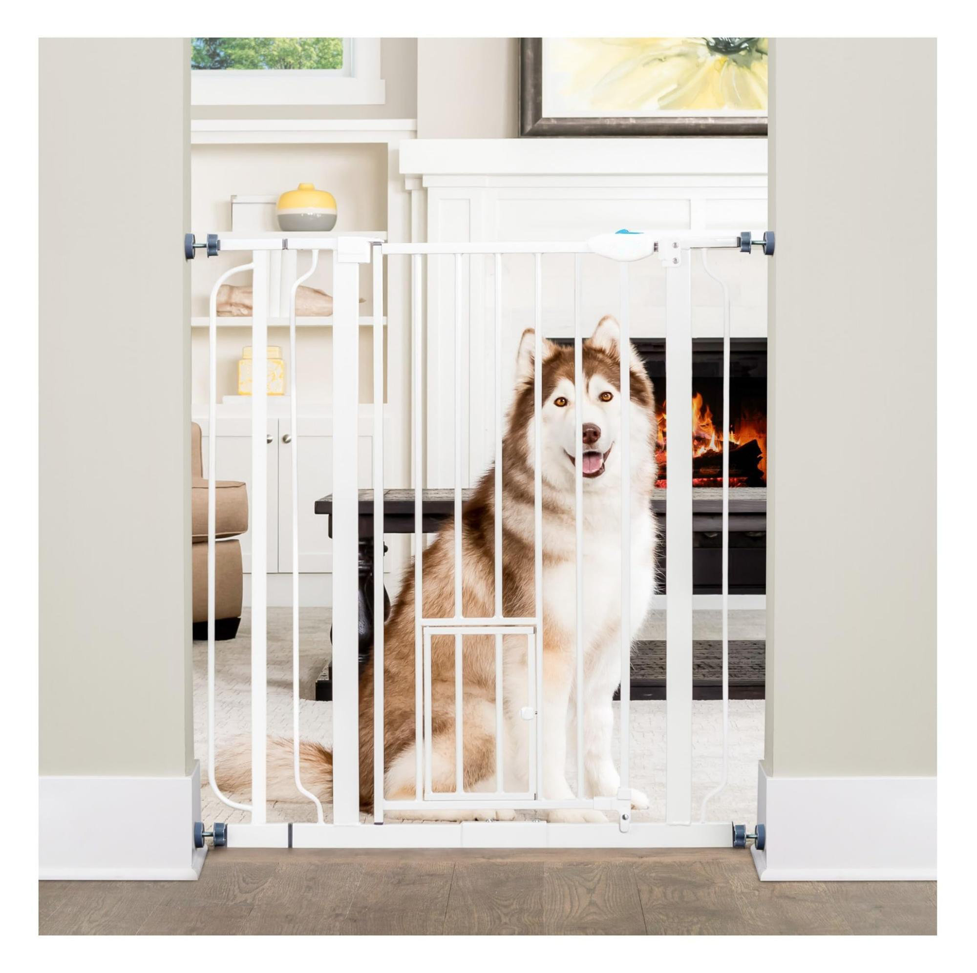 Archie & Oscar™ Extra Tall Walk Through Pet Gate With Small Pet Door ...