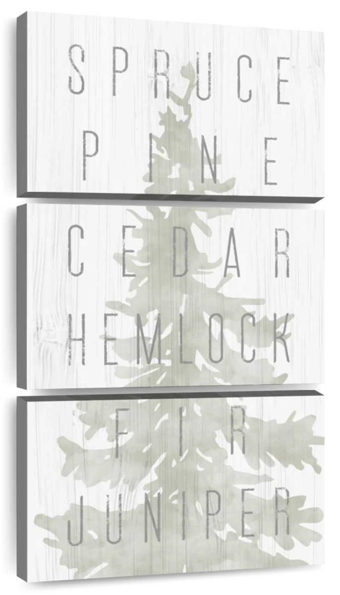 Lark Manor Pine Types - Wayfair Canada
