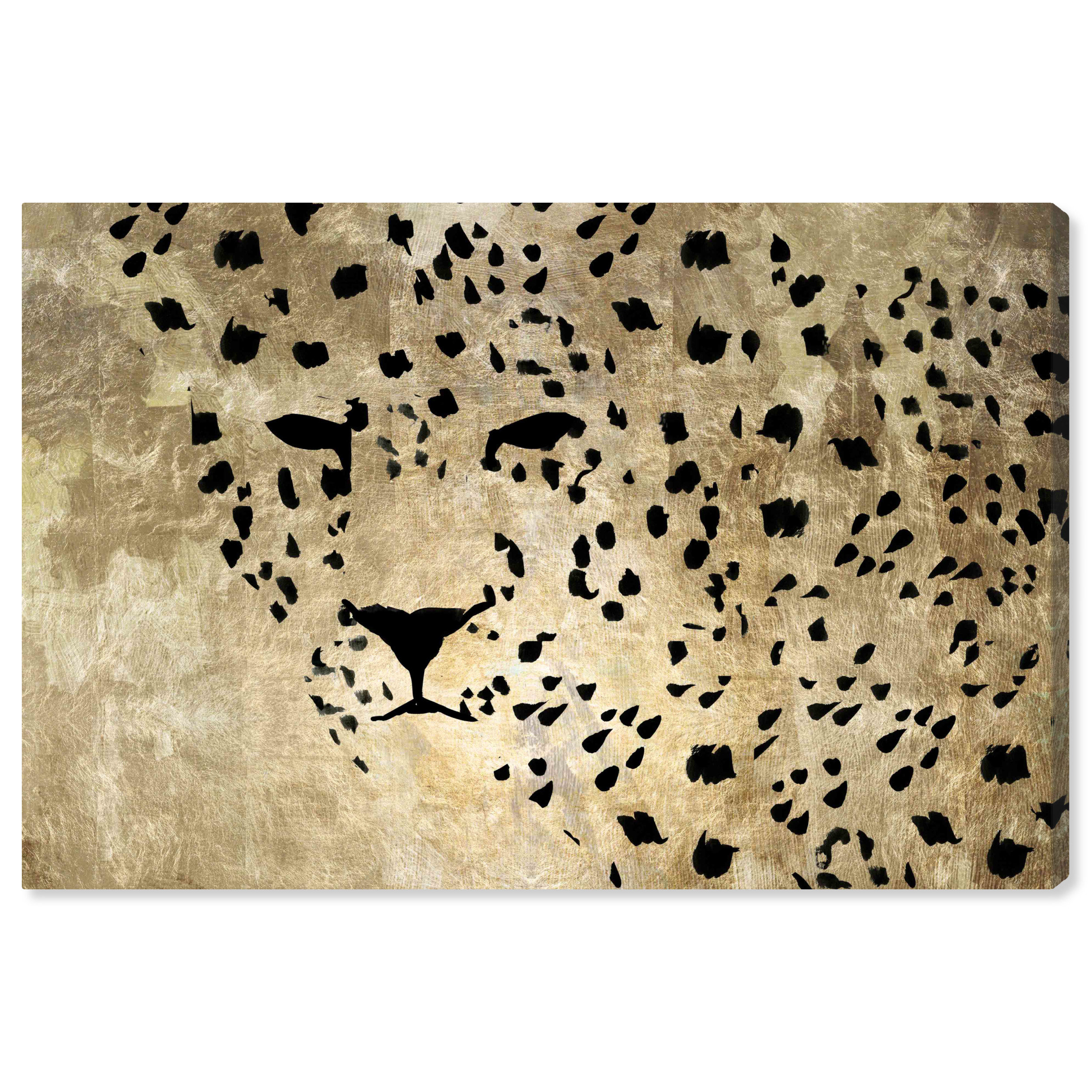 Oliver Gal Fierce Face - Wrapped Canvas Painting | Wayfair