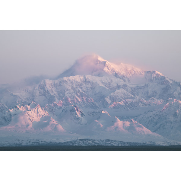 Millwood Pines Anijah " Mt. Denali In Denali National Park " by William ...