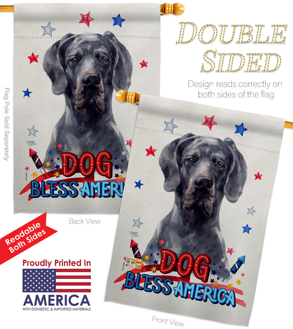 Breeze Decor Patriotic 2-sided Polyester 3 x 2 ft. House Flag | Wayfair