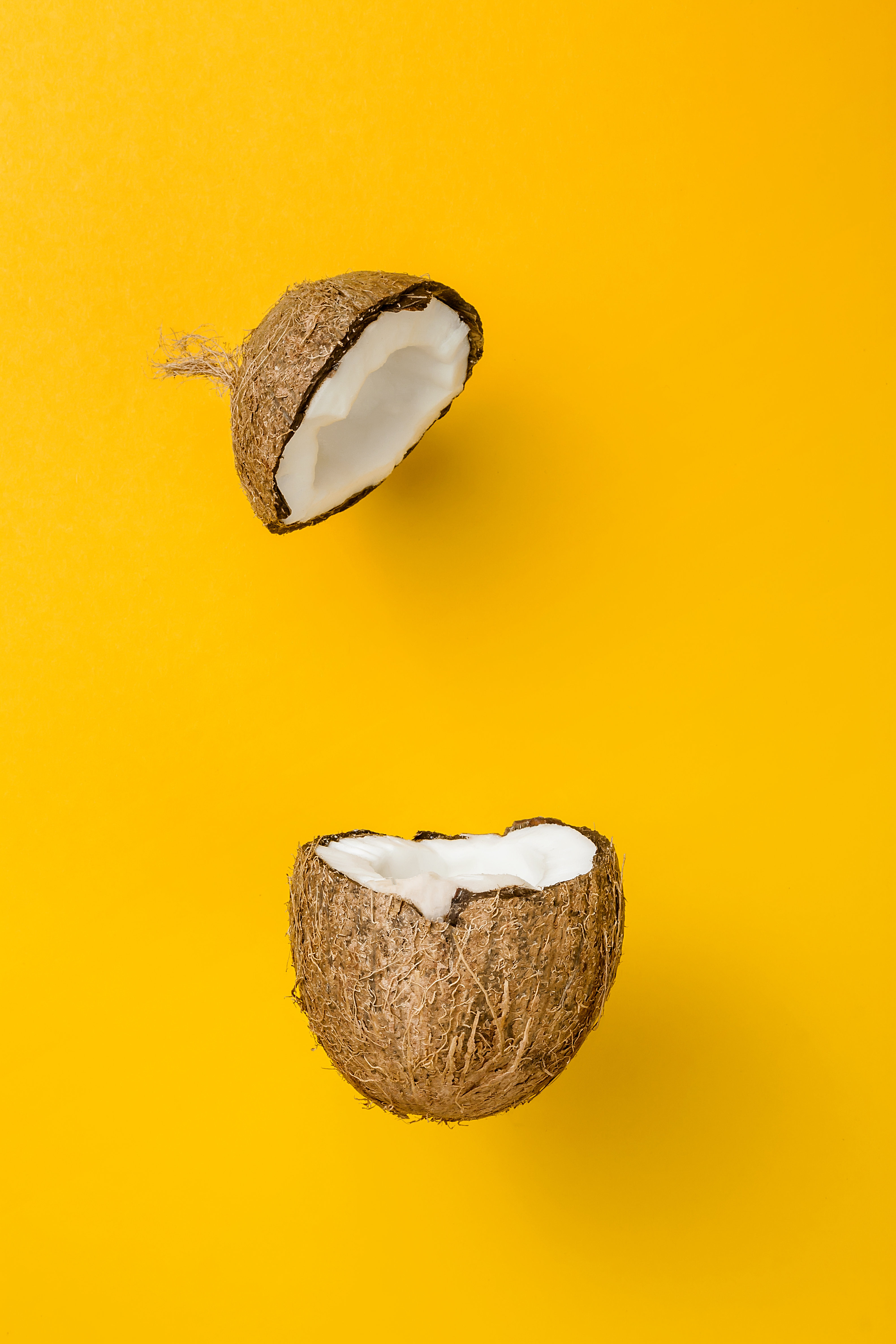 Bay Isle Home™ Coconut - Wrapped Canvas Photograph | Wayfair