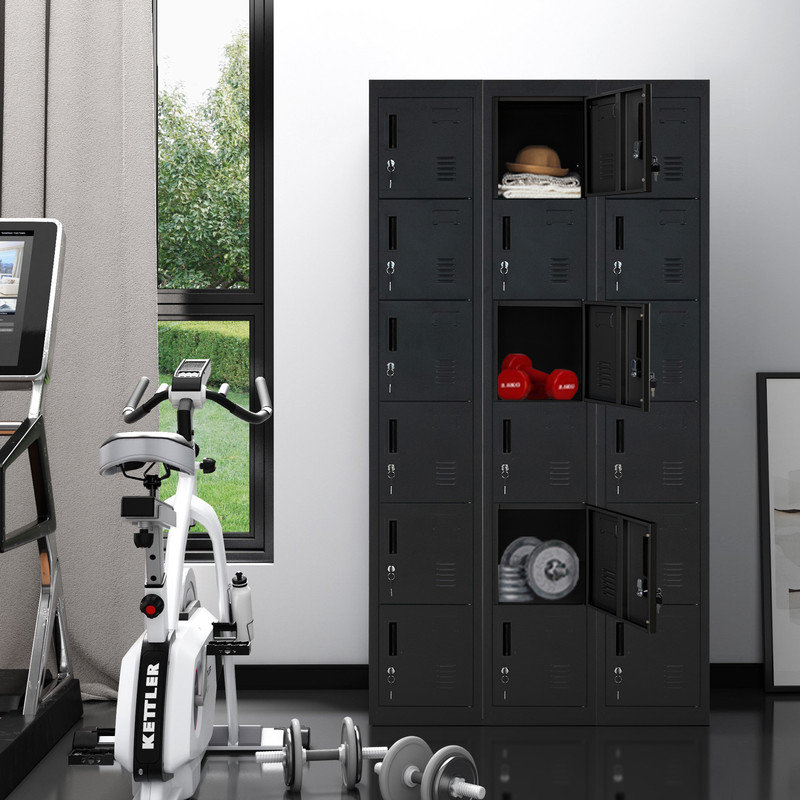 SUNCROWN 6 - Tier 6 - Section 17" Wide Gym Locker & Reviews | Wayfair